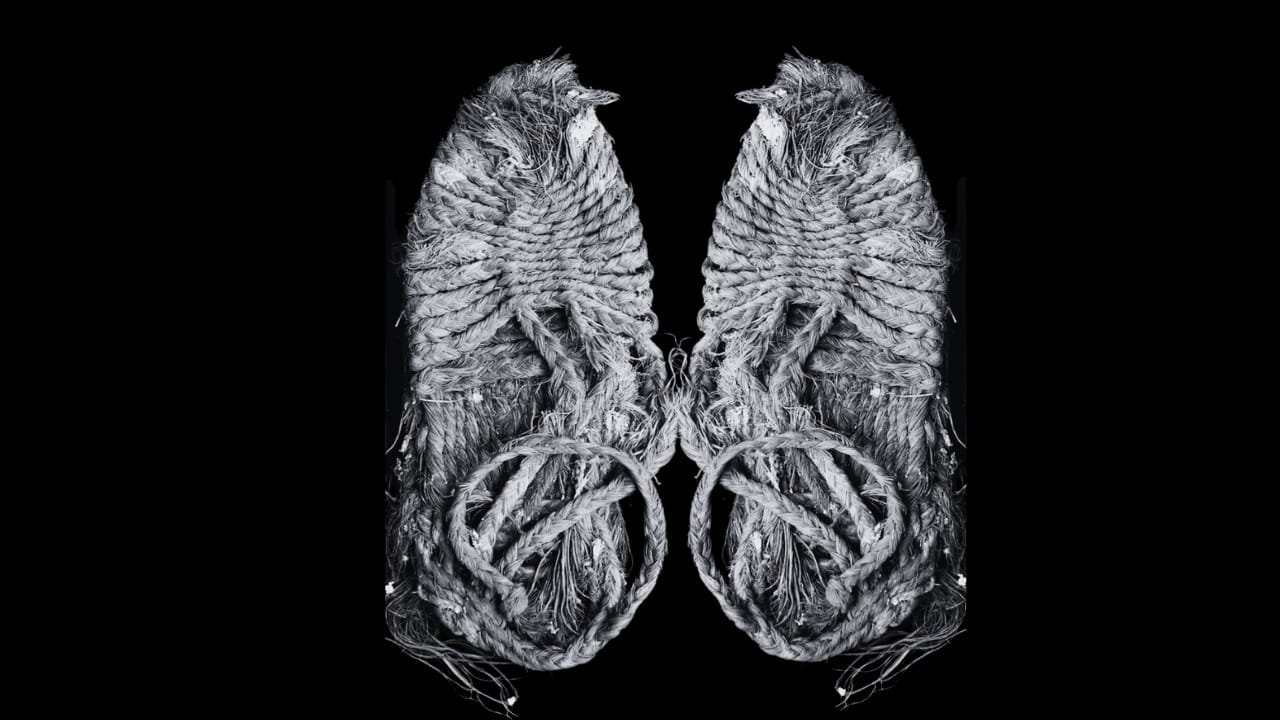 700 Years Old Sandal Found in Vulture’s Nest in Spain